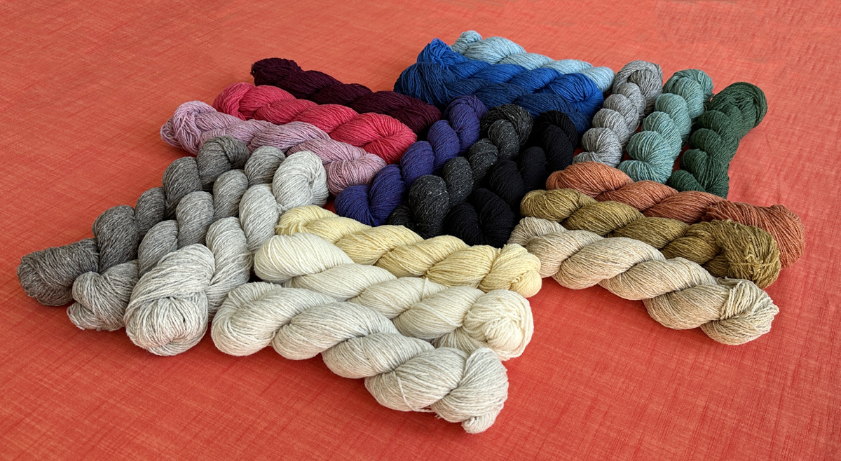 Just Landed: The transhumant ecological wool of WoolDreamers 90 Varas ...